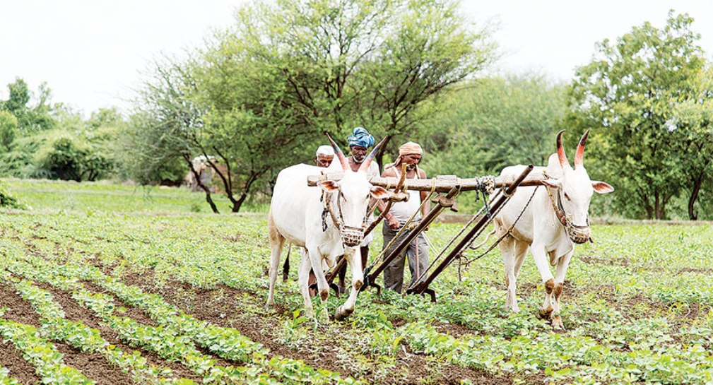 Agrarian distress and Challenges: an overview |ForumIAS