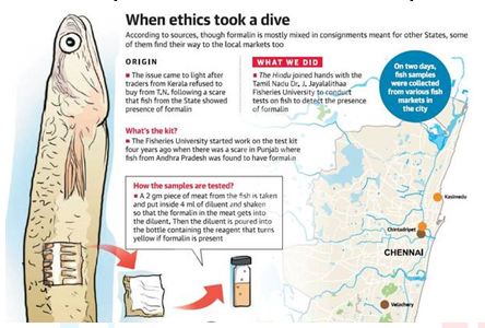 A fishy matter |ForumIAS