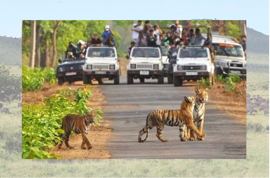 All about Protected Area Networks-National Parks, Wildlife sanctuaries ...