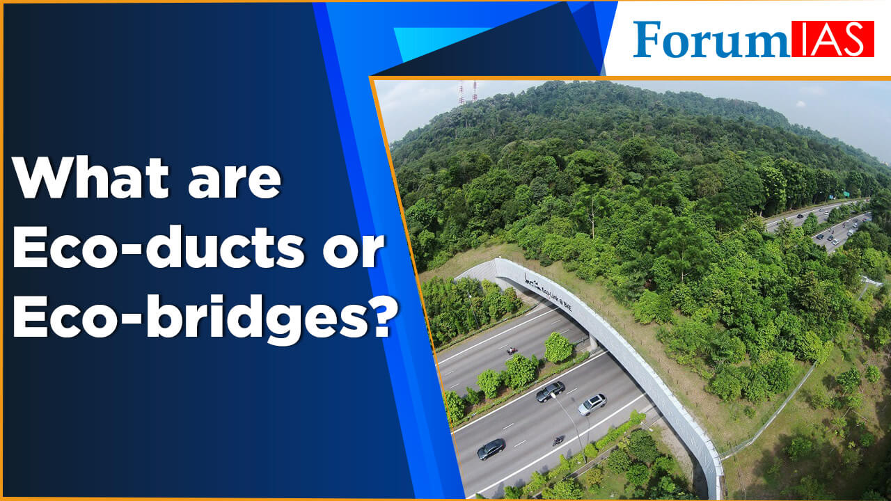 What are Eco-ducts or Eco-bridges?|ForumIAS Blog