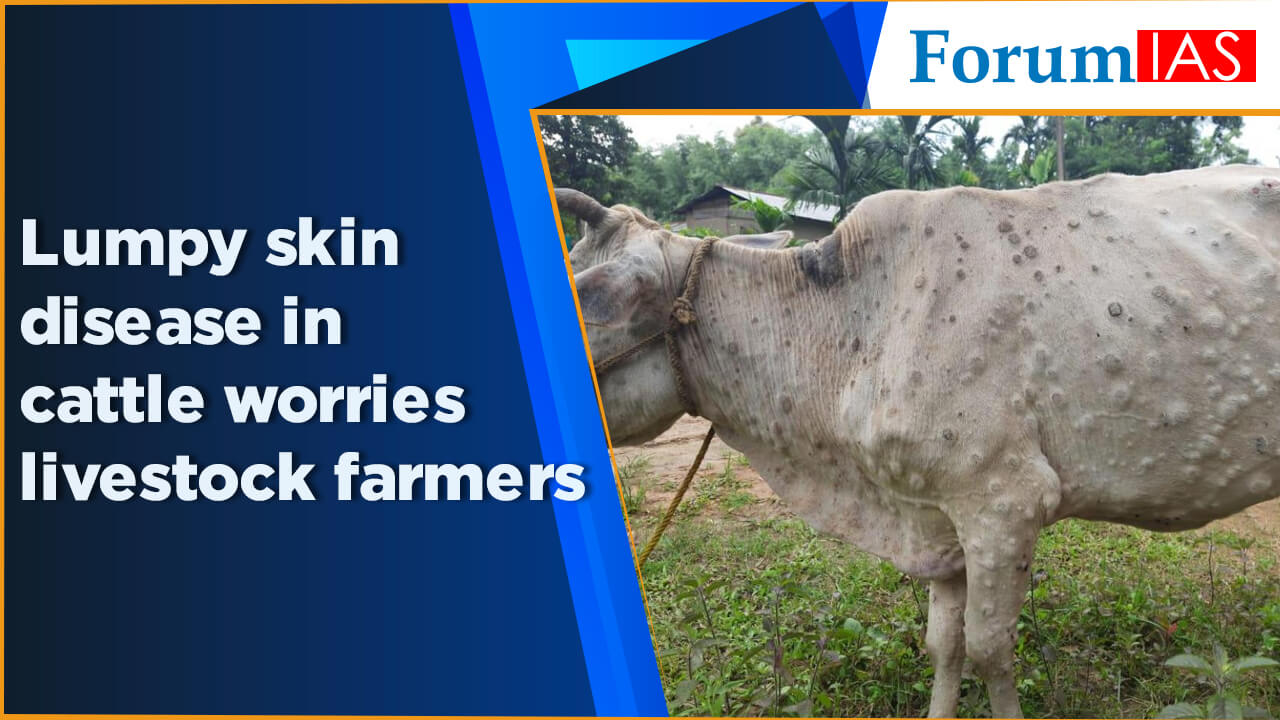 Lumpy skin disease in cattle worries livestock farmers |ForumIAS Blog