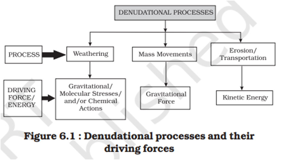 Which of the following processes are involved in denudation?1 ...