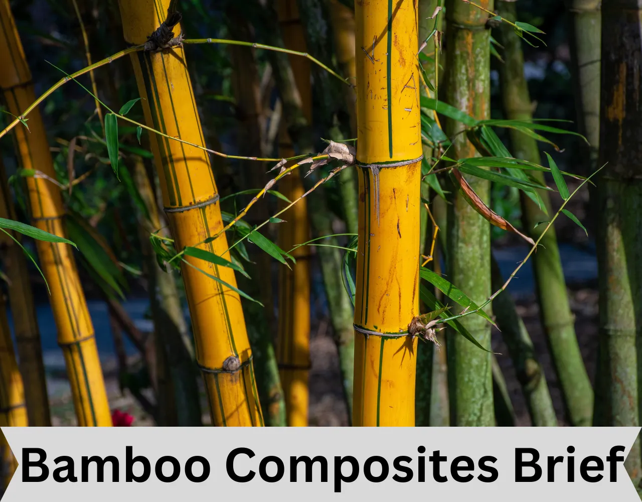 Bamboo Composites Brief | ForumIAS