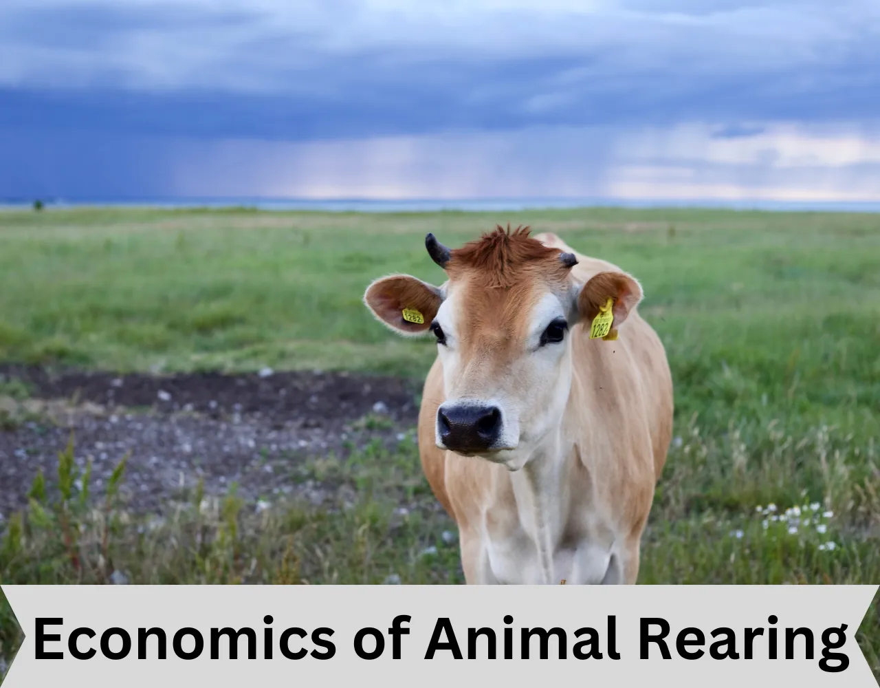 Economics of Animal Rearing- Explained Pointwise |ForumIAS