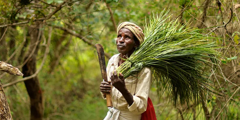 Geography related articles in News -ForumIAS Blog