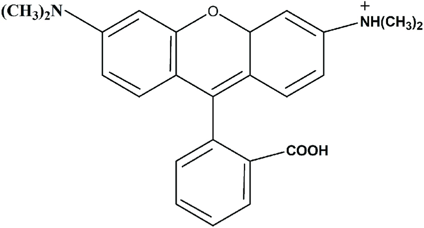 Rhodamine-B- The cancer-causing chemical |ForumIAS