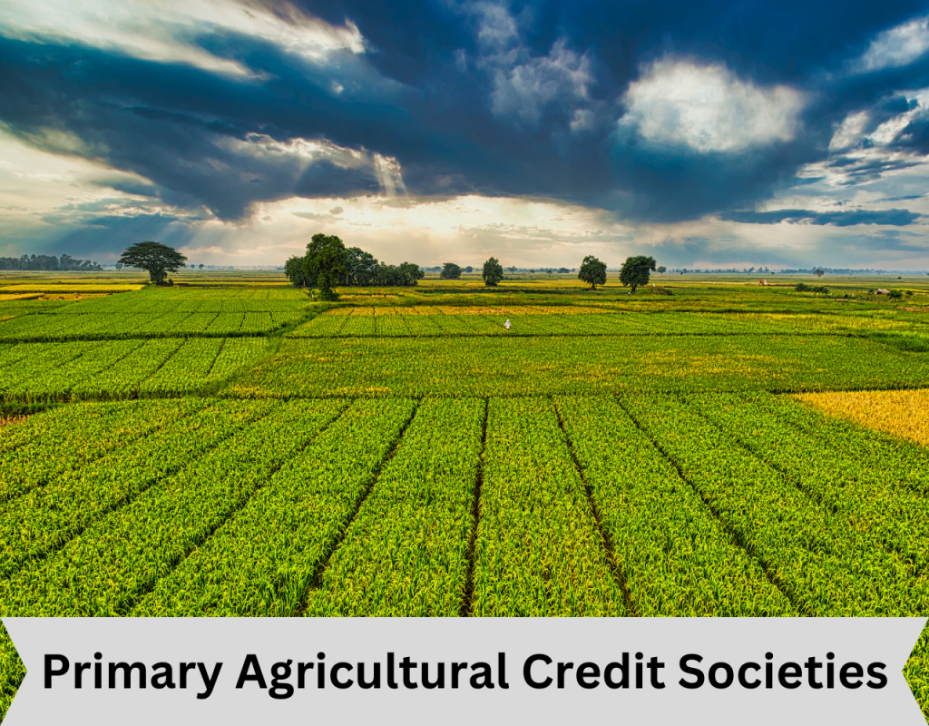Primary Agricultural Credit Societies | ForumIAS