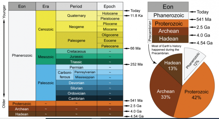 Anthropocene epoch declaration rejected |ForumIAS