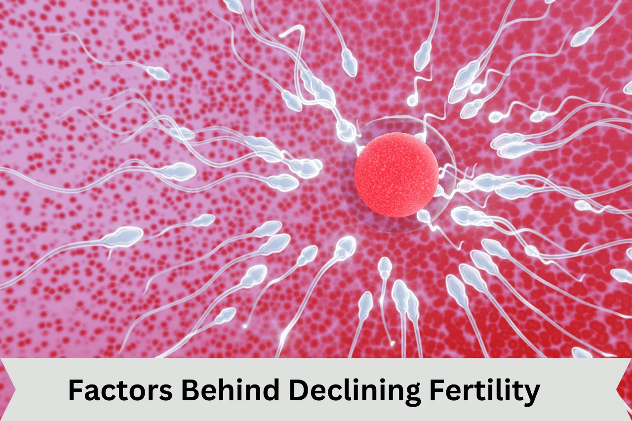 Factors behind declining fertility | ForumIAS