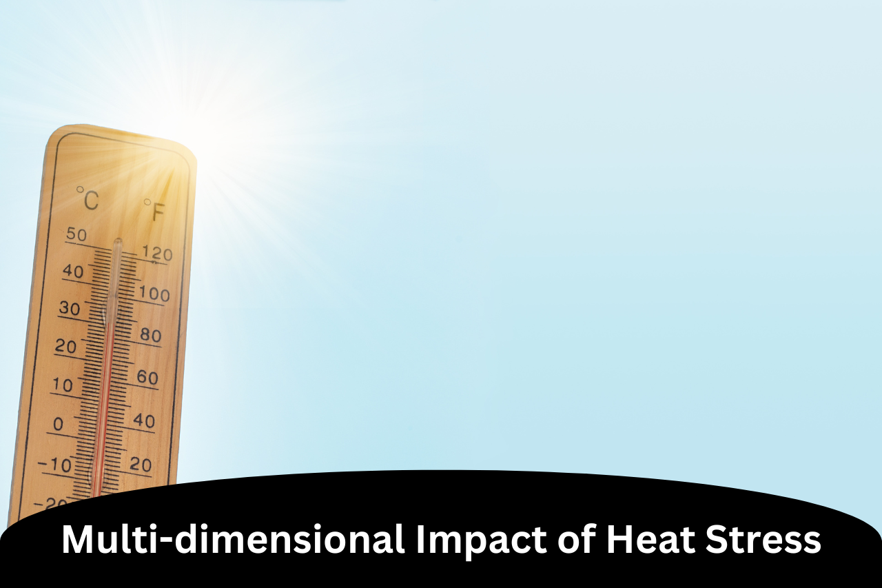 Multi-dimensional Impact of Heat Stress |ForumIAS