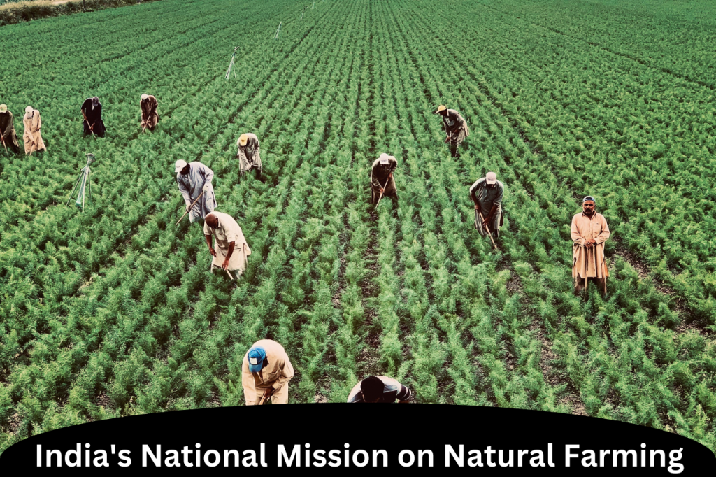 India's National Mission on Natural Farming |ForumIAS