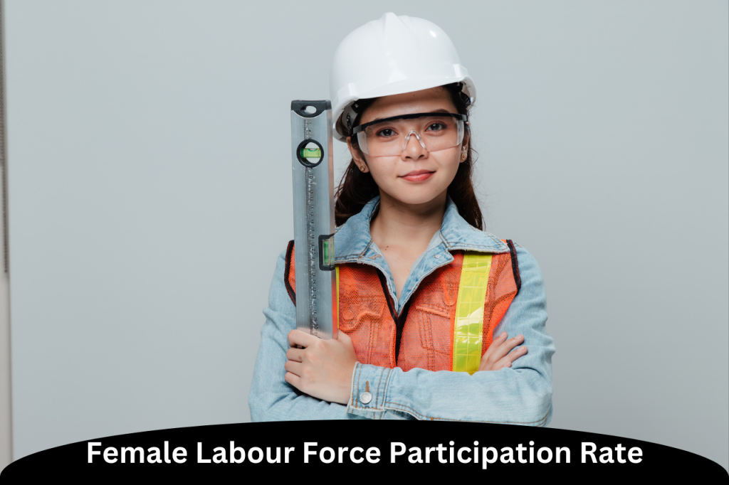 Female Labour Force Participation Rate- Explained Pointwise ...