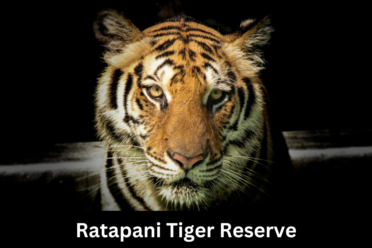 Ratapani Tiger Reserve |ForumIAS