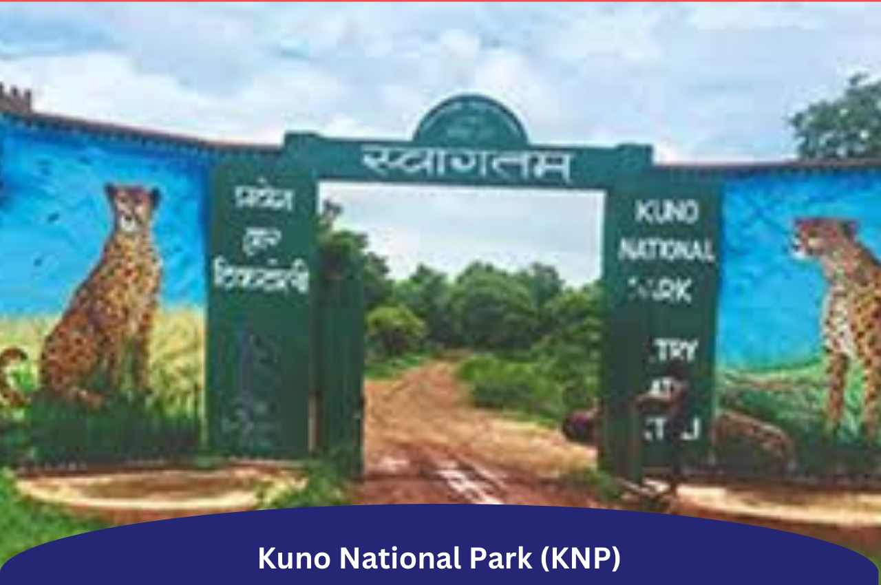 Kuno National Park (KNP) |ForumIAS