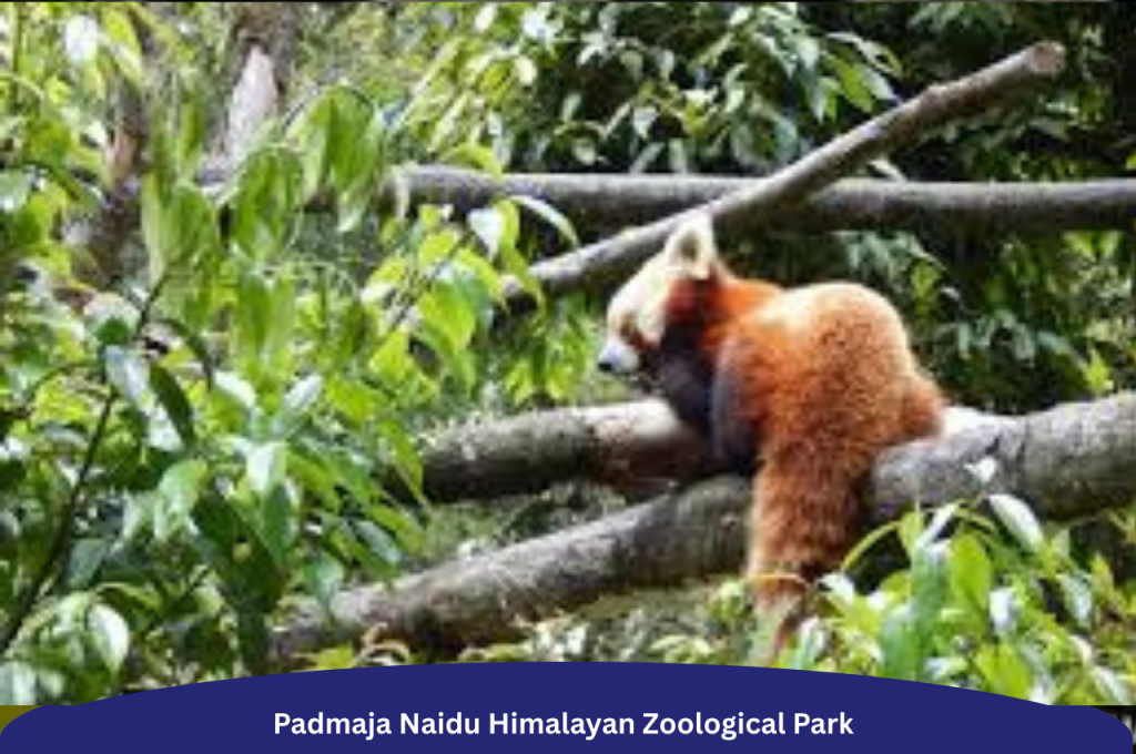 Padmaja Naidu Himalayan Zoological Park |ForumIAS