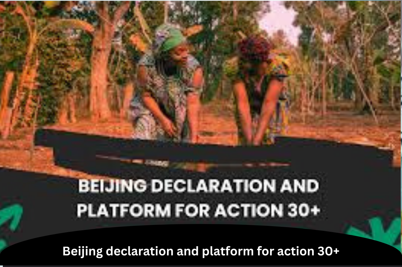 Gender and Climate Crisis – 30 Years after the Beijing Declaration ...