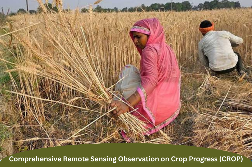 Comprehensive Remote Sensing Observation on Crop Progress (CROP) |ForumIAS