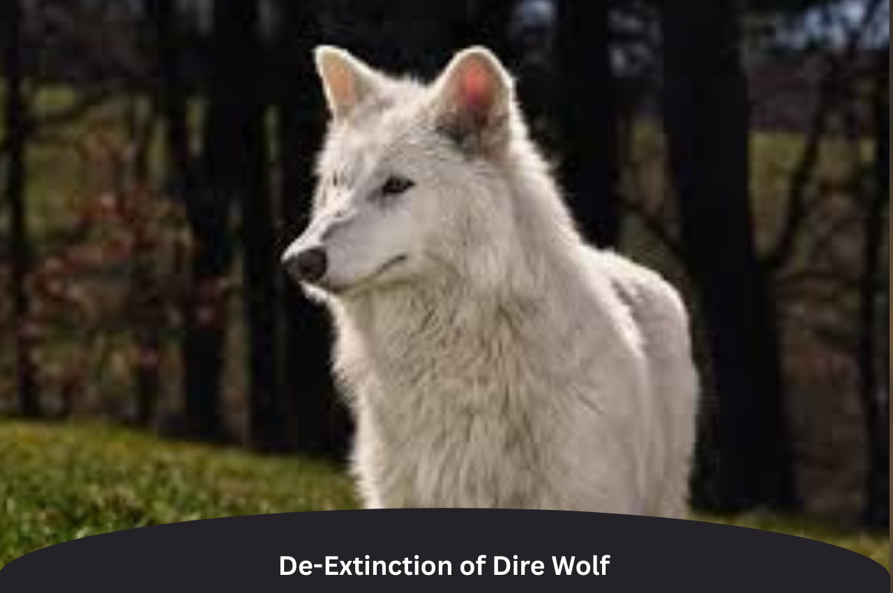 De-Extinction of Dire Wolf – Free UPSC IAS Preparation Syllabus and Materials For Aspirants