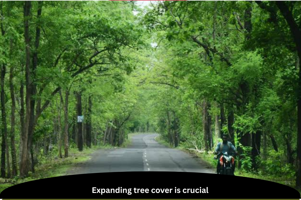 Expanding Tree Plantations is Key to India’s Climate Action and Trade ...