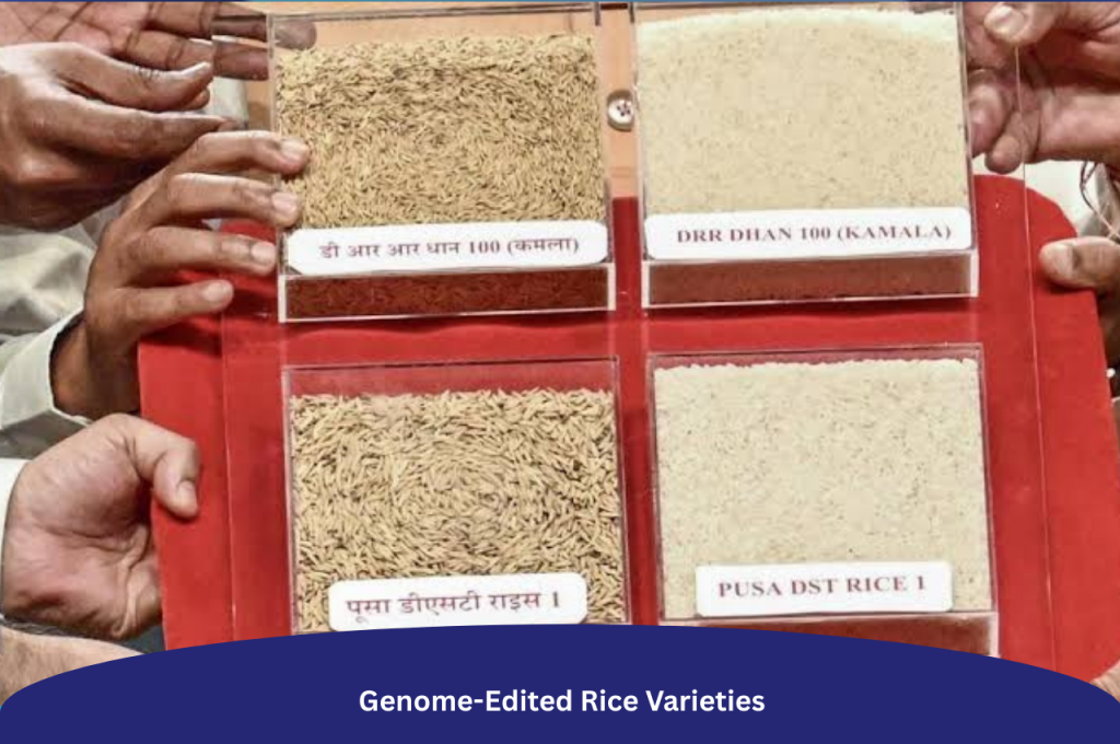 Genome-Edited Rice Varieties |ForumIAS
