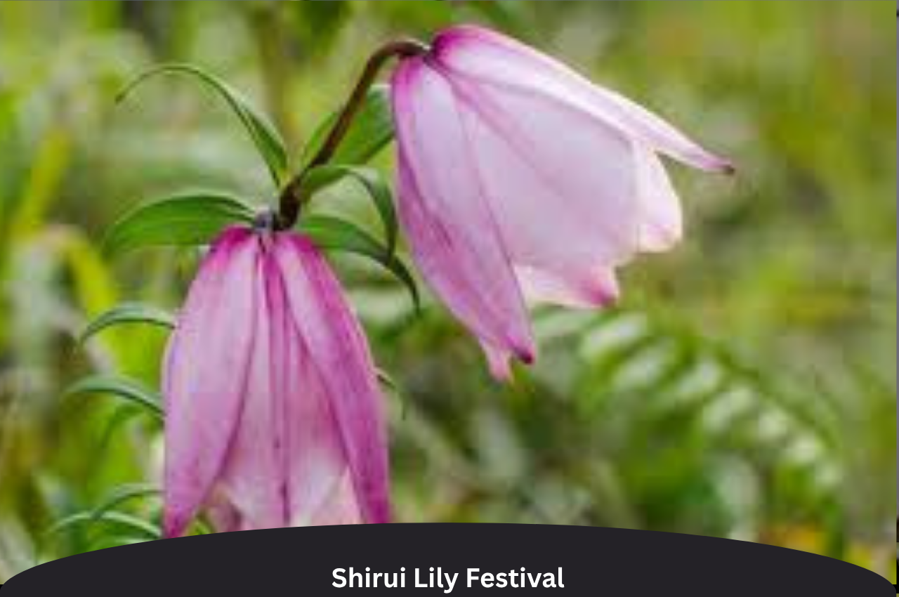 Shirui Lily Festival |ForumIAS
