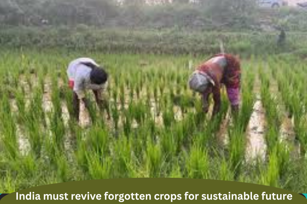 India must revive forgotten crops for sustainable future – Free UPSC ...