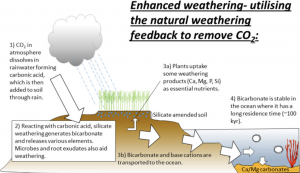 Enhanced Rock Weathering (ERW) |ForumIAS