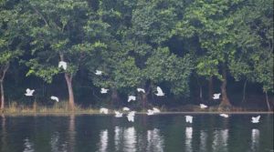 New Ramsar Sites of Bihar - Gokul Jalashay and Udaipur Jheel |ForumIAS