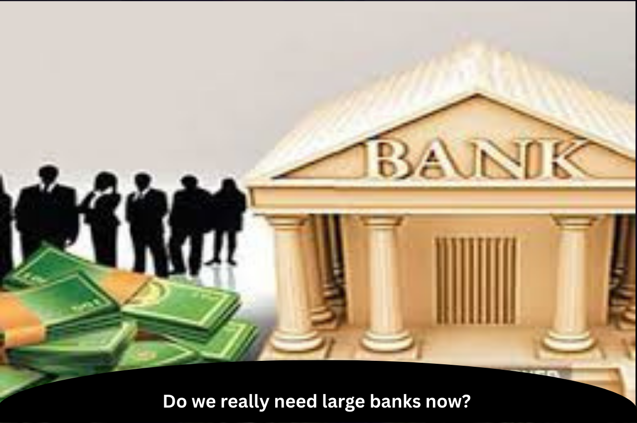 Do we really need large banks now? |ForumIAS