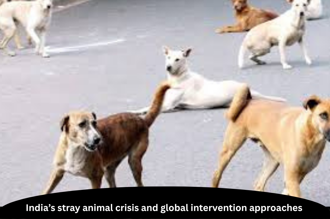 India’s stray animal crisis and global intervention approaches |ForumIAS