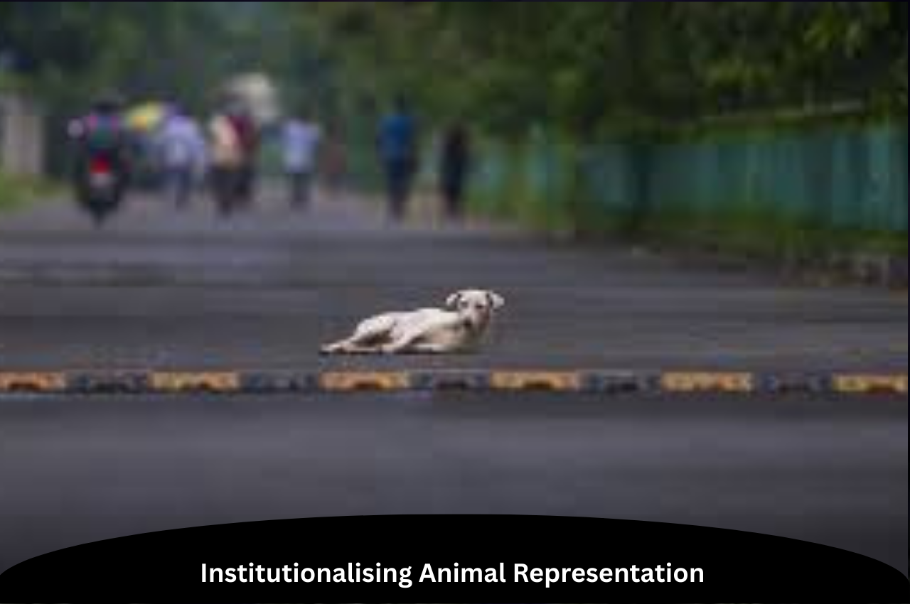 Institutionalising Animal Representation |ForumIAS